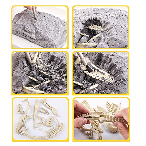 Dinosaur Fossils Dig Kit for Kids,Dig Up Dinosaurs Skeleton Set, Archaeology for Kids Educational Toys,Dinosaur Toys for Kids 8-12,Kids Gifts,Science Kits