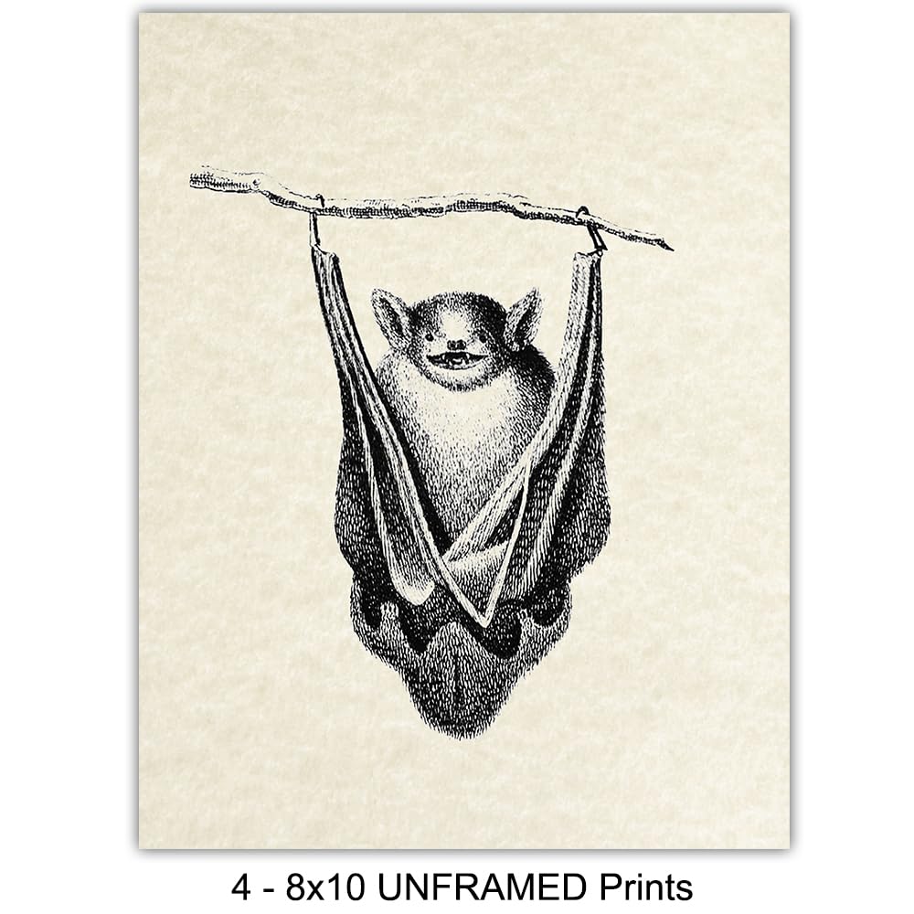 Bats Wall Decor - Bat Decorations - Bat Decor for Home - Creepy Gothic Wall Art - Goth Wall Decor - Pagan Gifts - Gothic Decor