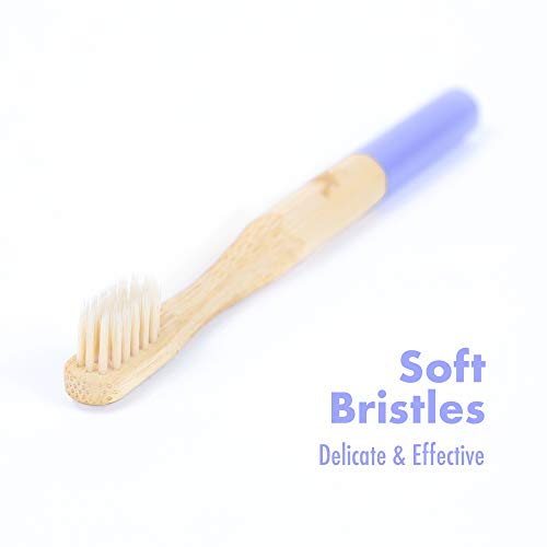 Native Birds Kids Bamboo Toothbrush with Soft Bristles, Set of 4 Eco Friendly Toothbrushes, BPA Free, Designed in Ukraine