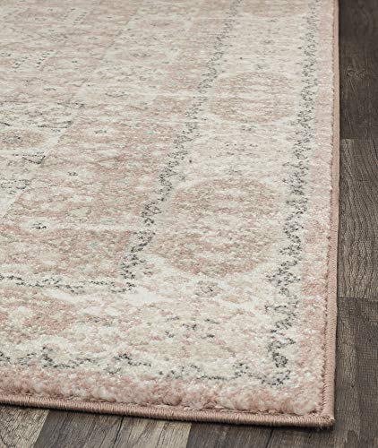 Rugs America Harper HY60A Pink Lemonade Transitional Vintage Area Rug, 5'x7'