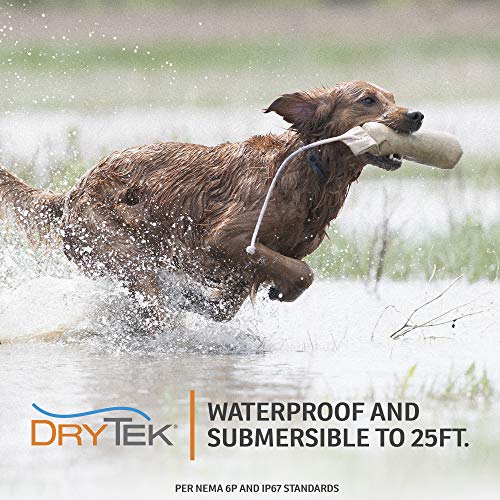 SportDOG Brand FieldTrainer 425X/SportHunter 825 Add-A-Dog Collar-Additional, Replacement or Extra Collar for Your Remote Trainer-Waterproof and Rechargeable with Tone, Vibration and Static