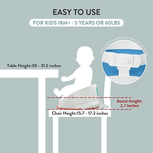 Prince Lionheart Squish Booster Seat, Berry Blue, 3-Point Harness and Dual-Strap System, Easy to Wipe Clean, and Lightweight