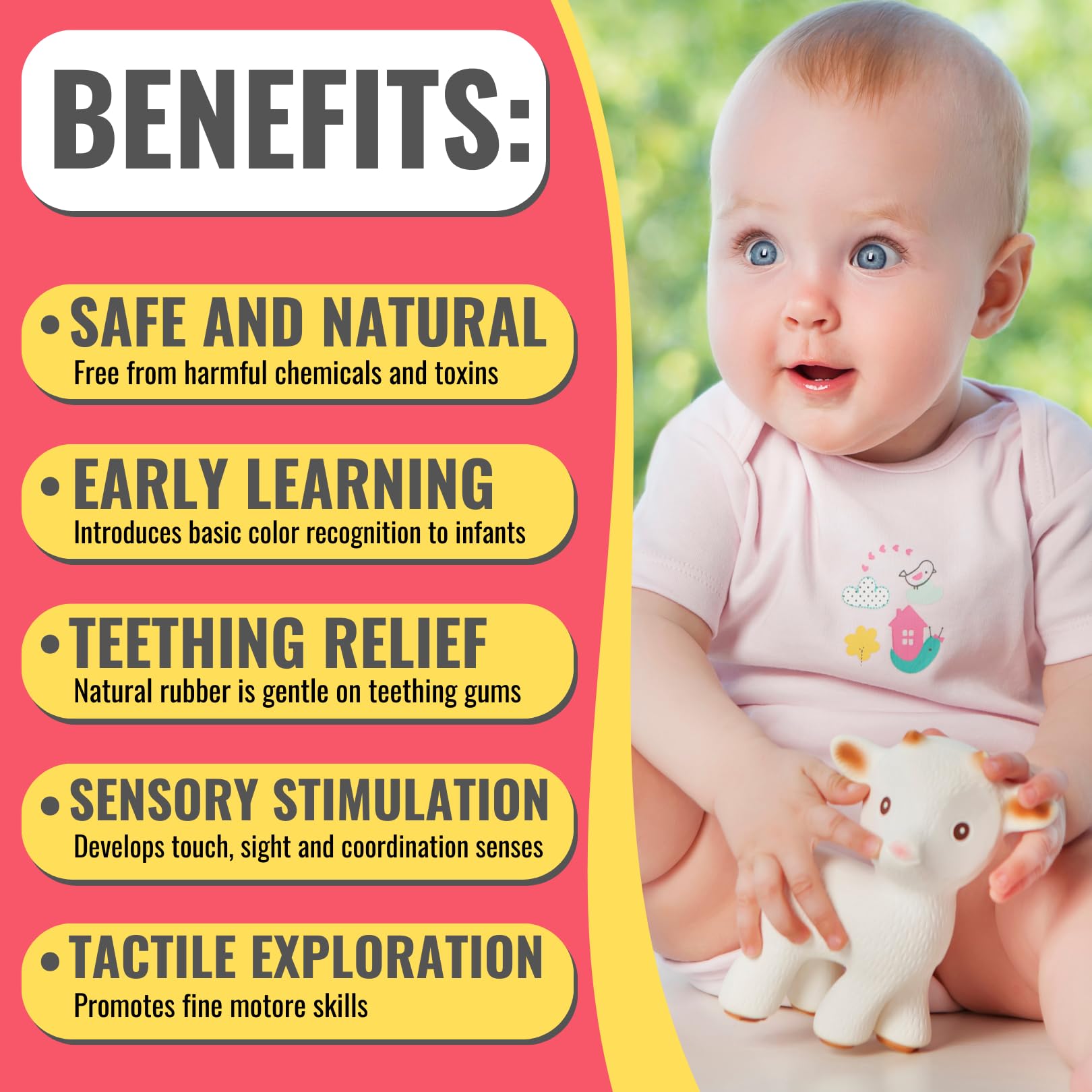 CaaOcho Pure Natural Rubber Teething Baby Toy - Sola The Goat Teether for Babies, BPA Free Baby Toy, All Natural Teething Toys for Babies 0-6, Safe and Fun Molar Teether Toy