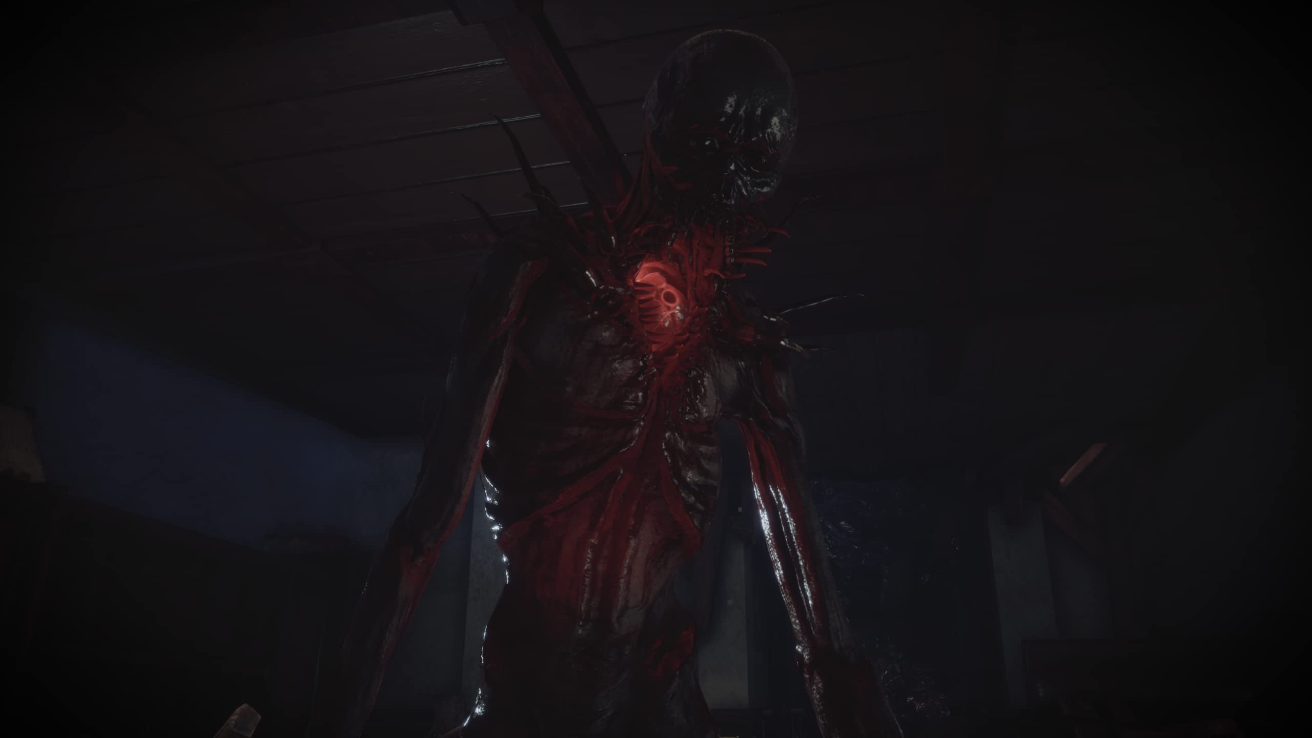Fobia - St Dinfna Hotel (PS4)