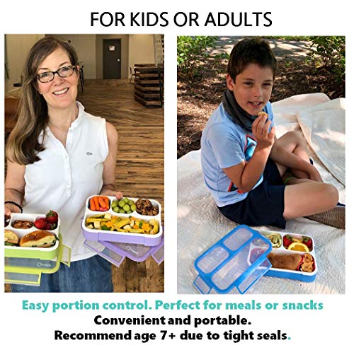 Bento Lunch Box Kids & Adult: Leakproof Lunch Containers for Boys & Girls with 3 Compartments - School, Daycare, Meal Planning Portion Control Container, BPA-Free Boxes, Utensils | Blue Purple 2 pack