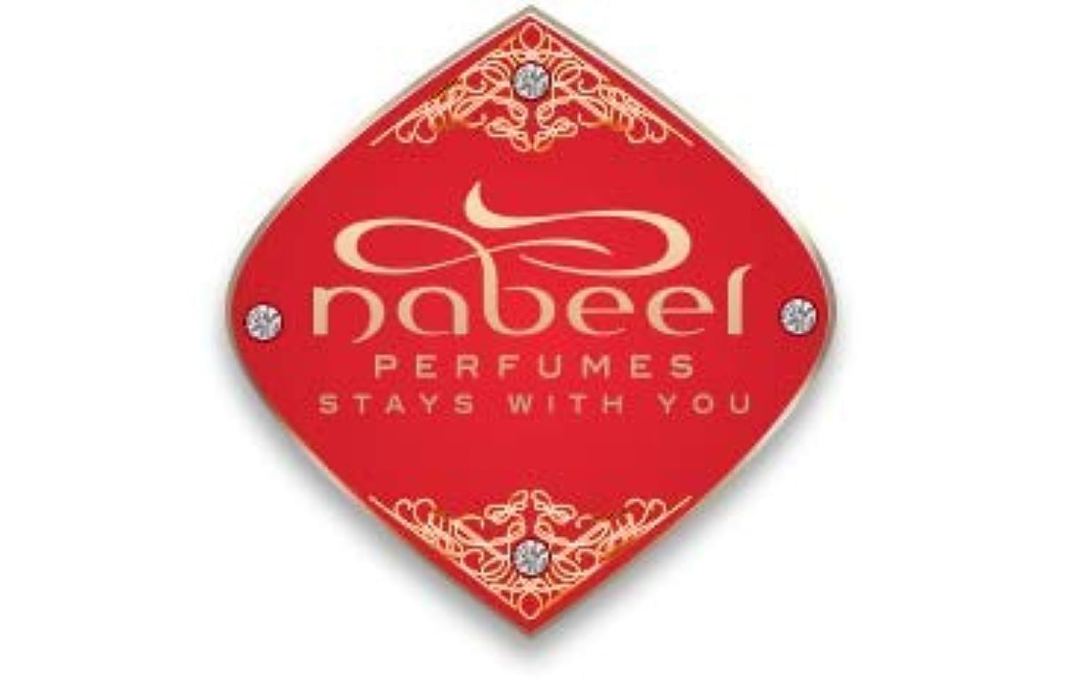 Nabeel Air Fresheners 300ML(10 oz) | by Nabeel Perfumes (1 Pack, Tajebni)