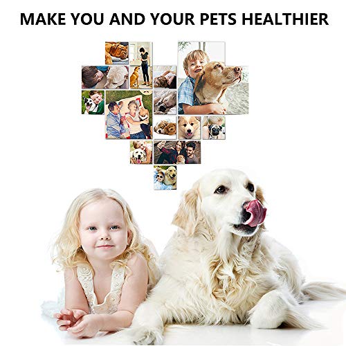 Dogscute 2 Pack Pet Paw Cleaner for Dogs & Cats, Waterless Foam with Silicone Scrubber, Dogs Cats Feet Paw Cleaner