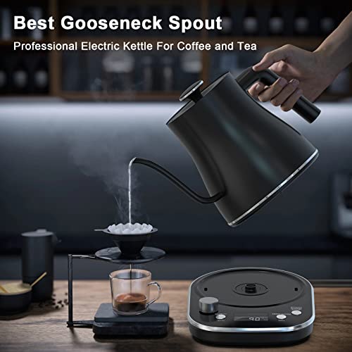 Gooseneck Electric Kettle, WiFi Smart Electric Kettle Temperature Control, Pour Over Kettle and Tea Kettle, TUYA App Control, 1200W Quick Heating, 100% Stainless Steel, 0.8L, Matte Black