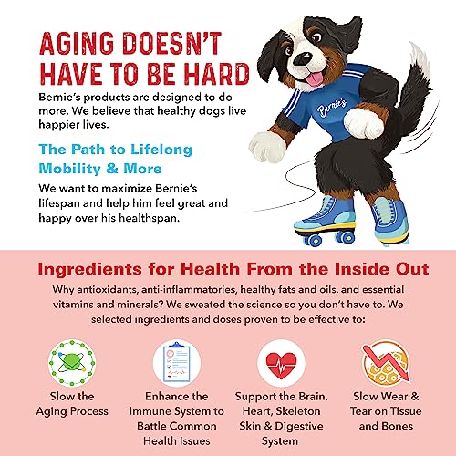 Bernie's Marvelous Mobility - Daily Dog Hip and Joint Supplement - Maintains Overall Well Being & Promotes a Healthy Immune System (90 Count)