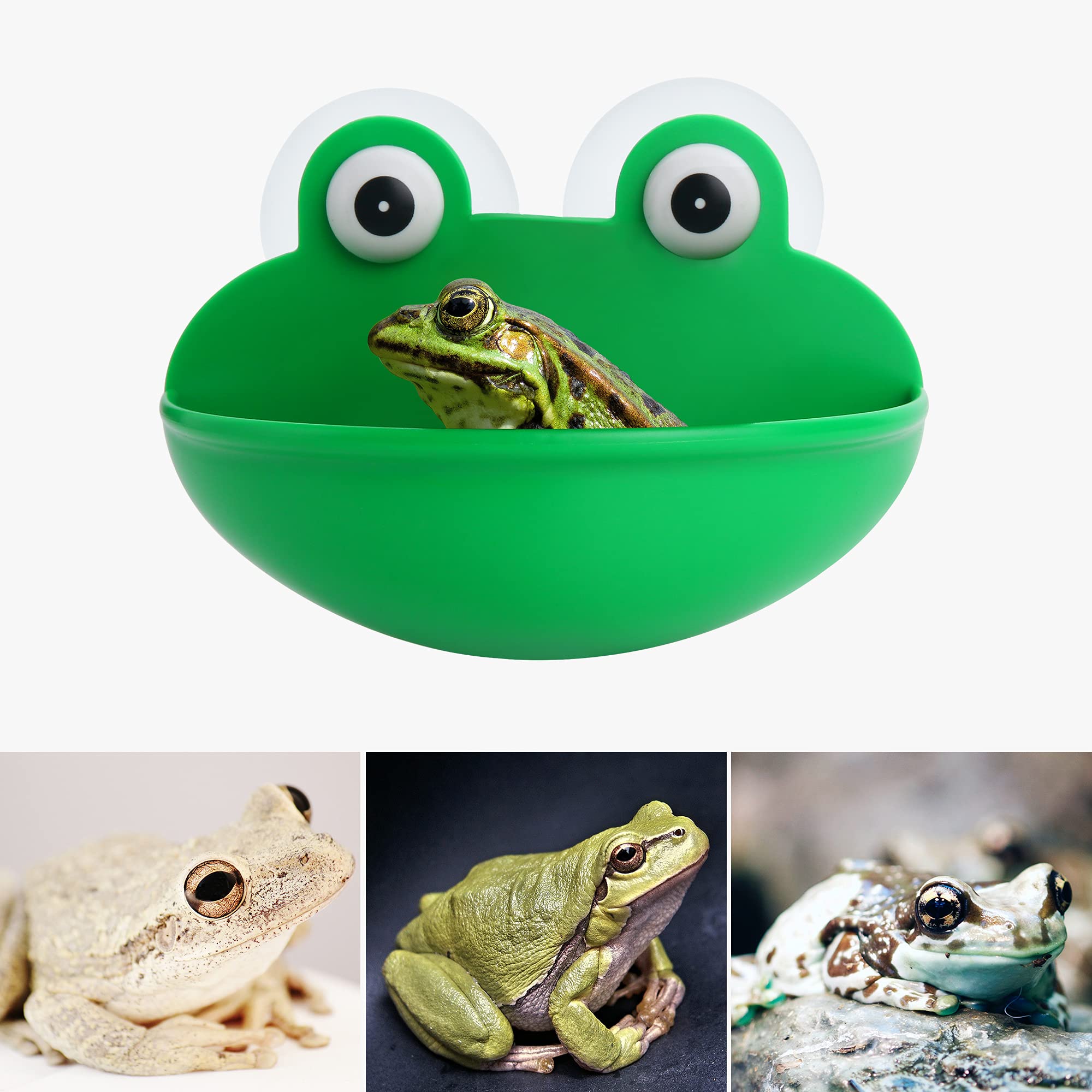 Pensino Frog Habitat Frog Dish Holder with Suction Cup, Frog Terrarium Cute Fish Tank Decoration for Tree Frog Toad Tadpole Small Aquatic Animal(2PC)