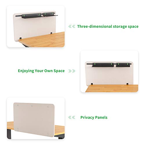 BANTI Dual Motor Adjustable Height Standing Desk, Electric Sit Stand Desk with Screen Panel, 48 x 24 Inches Stand up Desk, Home Office Desk with Rubberwood Top and Black Frame B-SDE-SP48BO-D
