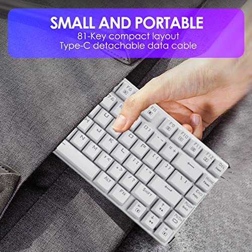 HUO JI 60% Mechanical Gaming Keyboard, E-Yooso Z-88 with Red Switches, Rainbow LED Backlit, Compact 81 Keys Hot Swappable, Silver and White