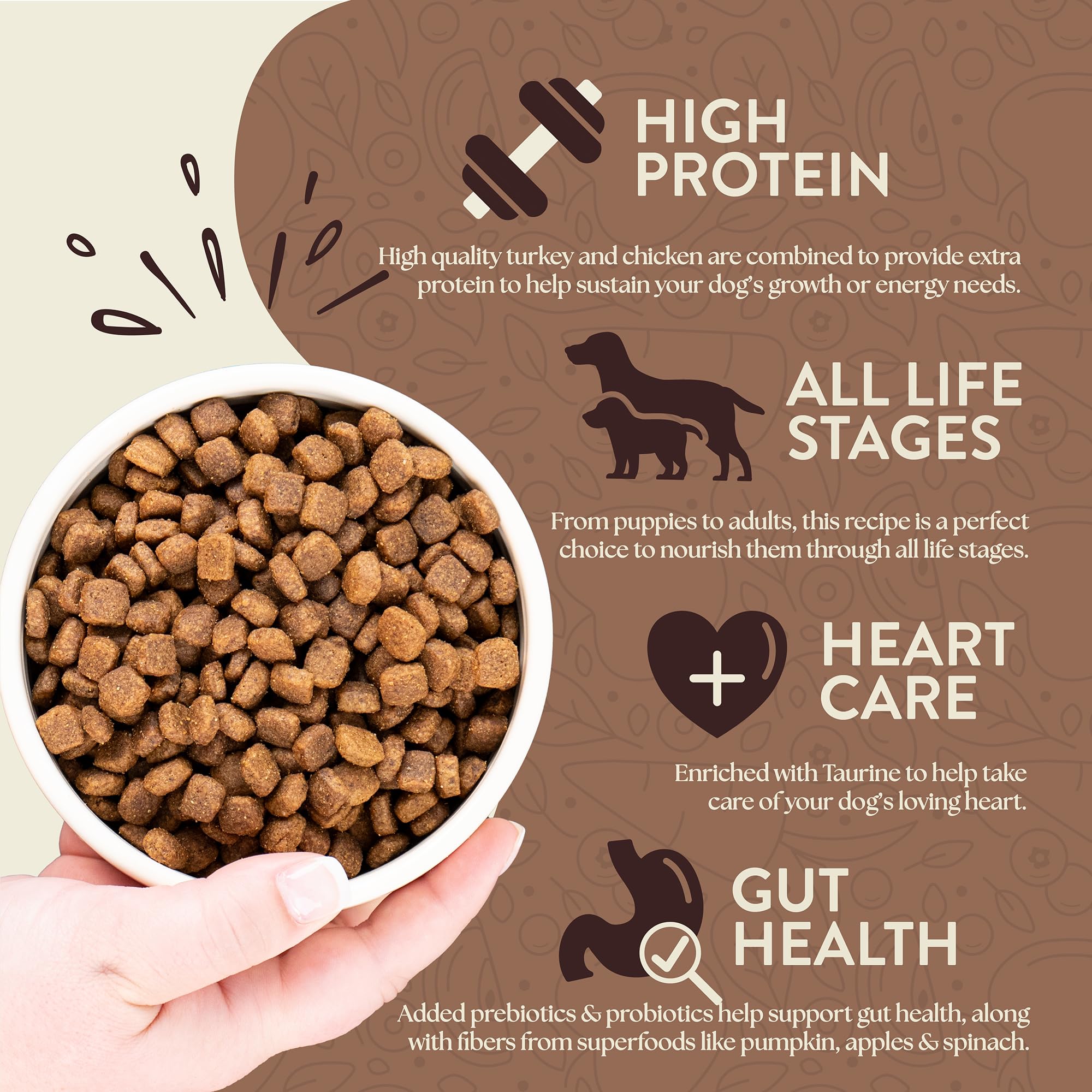 Earthborn Holistic Primitive Natural Turkey Meal & Vegetables Grain-Free High Protein Dry Food for Dogs & Puppies (4 lb. Bag)