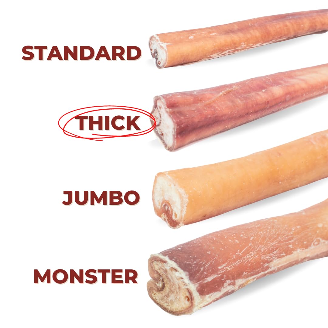 Bully Bunches Premium 12 Inch Thick Odor-Free Bully Sticks for Medium & Large Dogs - Long Lasting Chews for Oral Care - All Natural & Single Ingredient, 100% Beef Dog Treat, Rawhide Free (10 Pk)