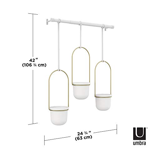 Umbra 1011748-524 Triflora Hanging Planters for Indoor Plants or Herbs, White/Brass,42" Width