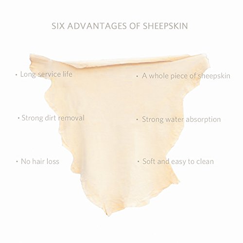 River Lake Chamois Drying Cloth Car Drying Towel Real Leather Super Absorbent Fast Drying Natural Chamois Car Wash Cloth Accessory (17.7" x 23.6")