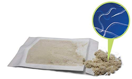 Beneficial Nematodes Steinernema feltiae SF - Biological Fungas Gnat Control (250 Million)