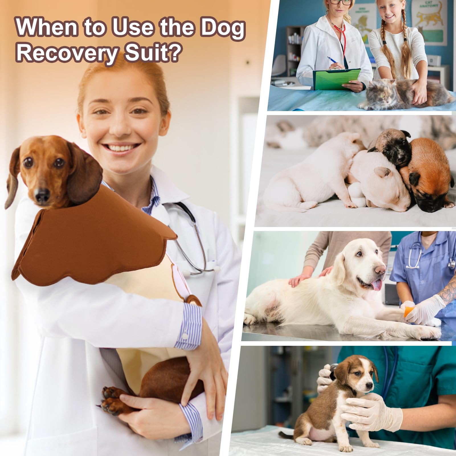 SAWMONG Dog Surgery Recovery Suit with Foldable Cone, Stretch & Cotton Dog Spay Surgical Suit for Female Dogs, After Surgery Dog Onesie with Adjustable Rear Flap, Medium
