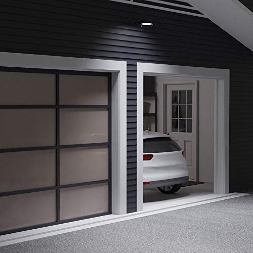 Amazon Basics 35W LED Barn Light, Dusk to Dawn with Photocell, 4000 Lumens, 50000 Hours , Daylight, 2-Pack