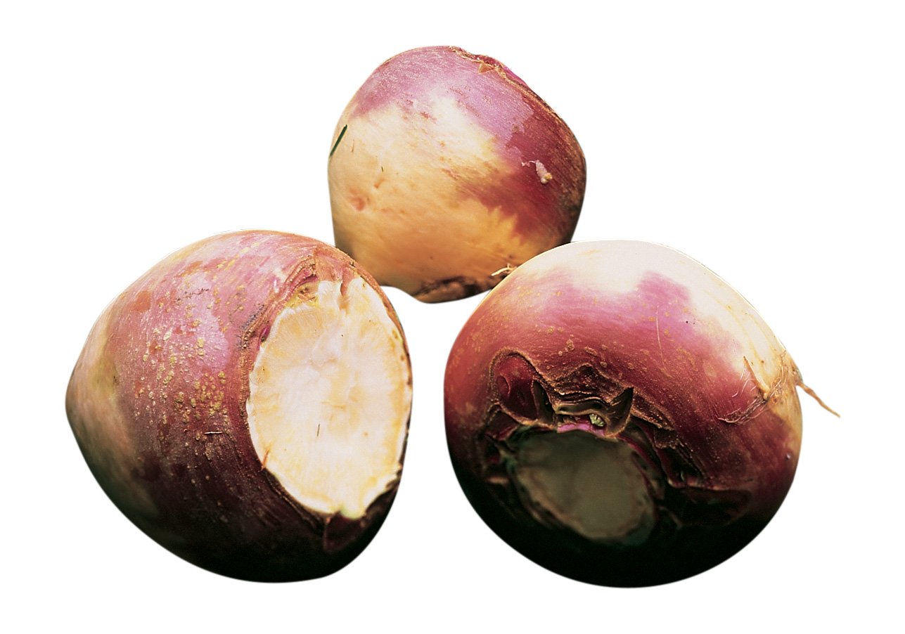Burpee Purple Top Rutabaga Seeds 600 seeds