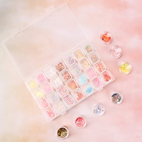 Segbeauty Gem Organizer, Clear Bead Container 28 Compartments with Secure Lids, Removable Tiny Jewelry Storage Box, Transparent Jewelry Organizer for Seeds Craft Making Accessories