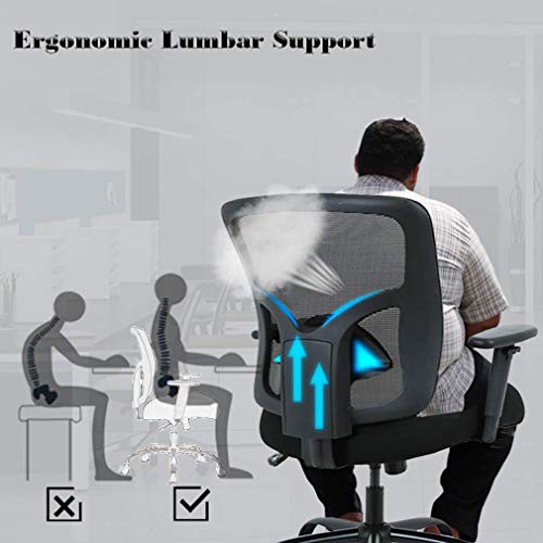 PayLessHere Office, Ergonomic Executive Desk Rolling Swivel Adjustable Arms Mesh Back Computer Lumbar Support Task Chair for Women, Men (Black)
