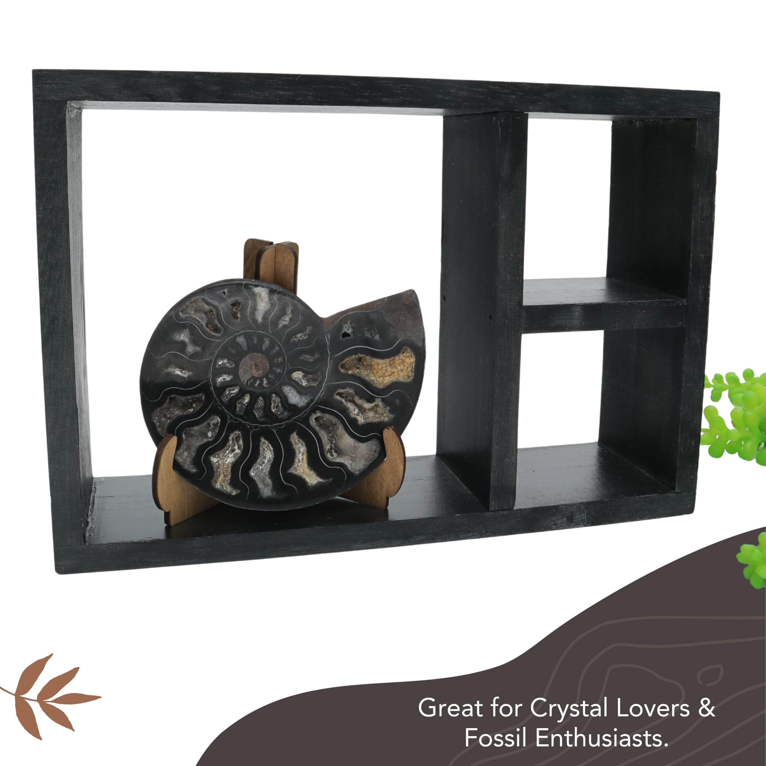 Petite Crystal Display Shelf with Black Ammonite, Rustic Wall-Mounted Floating Shelf for Crystal and Home Décor. Great Nightstand/Apothecary Shelf for Fossils, Reiki Crystals