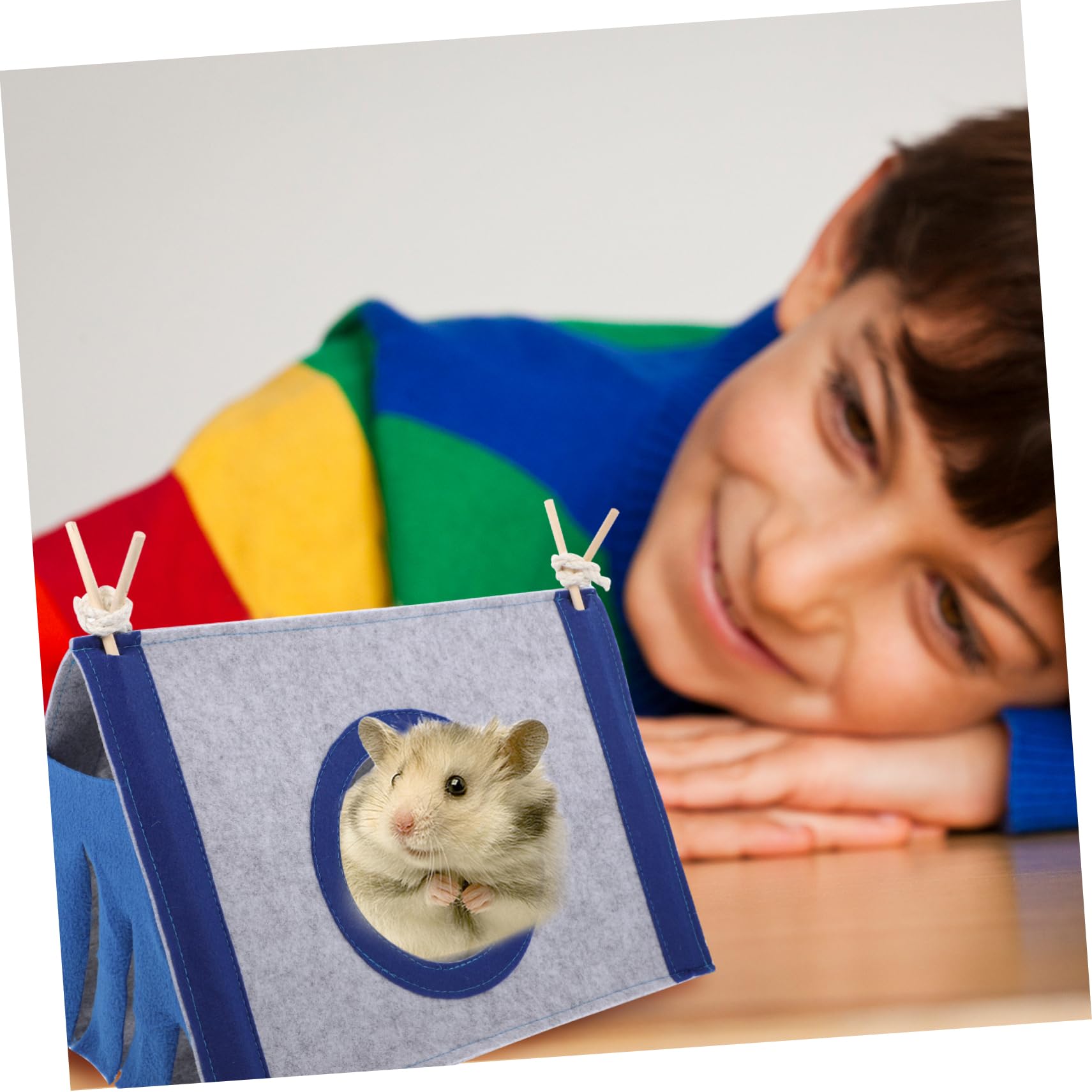 BESTOYARD 3pcs Hamster nest Guinea Pig House Bunny Hideout Hamster hut Bedding for Guinea Pigs Hamster Hideout Chinchilla Corner Hideout Hamster Tent Hideout Hanging Felt Cloth pet Small