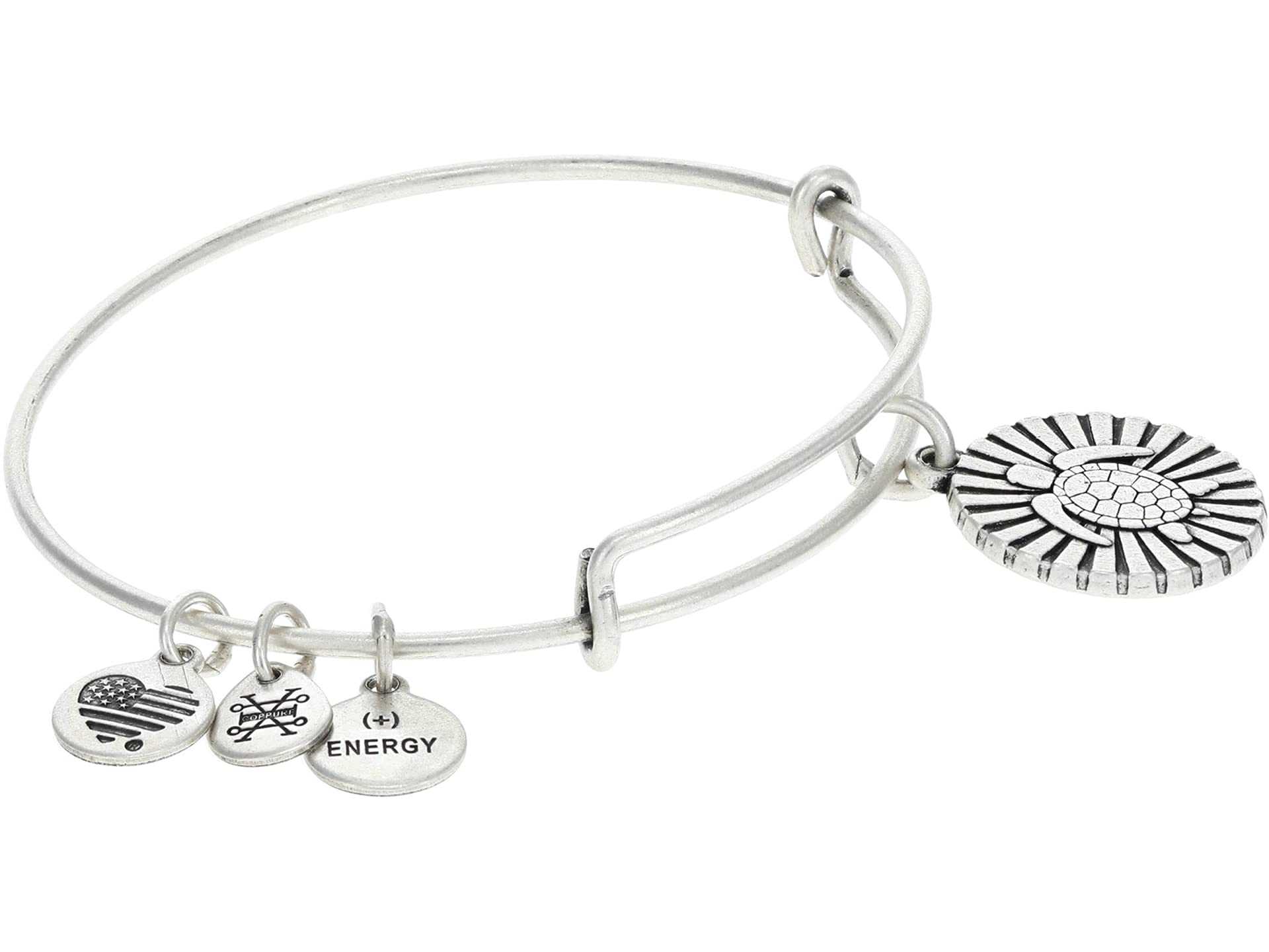 Alex and Ani Path of Symbols Expandable Bangle for Women, Sea Turtle Charm, Rafaelian Silver Finish, 2 to 3.5 in