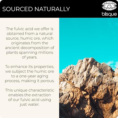 Blisque – Natural Trace Mineral Drops Supplement with Fulvic Acid and Humic Acid | for Detox, Cleanse, Immune Support, Brain Booster, Alkaline Hydration, and Energy | Contains Electrolytes | 4 Ounce