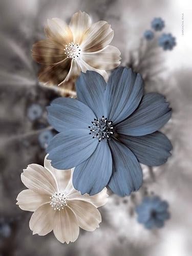 Blue and White Flowers Stamped Cross Stitch Kits Plant Flowers Adults Beginners Counted Cross Stitch Kits Needlecrafts for Home Wall Decor Cross Stitch Patterns/12x16 inch