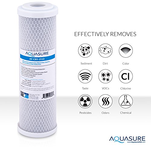 Aquasure Pioneer Series Carbon Block Water Filter - 10" x 2.5" 5 Micron Coconut Shell Carbon