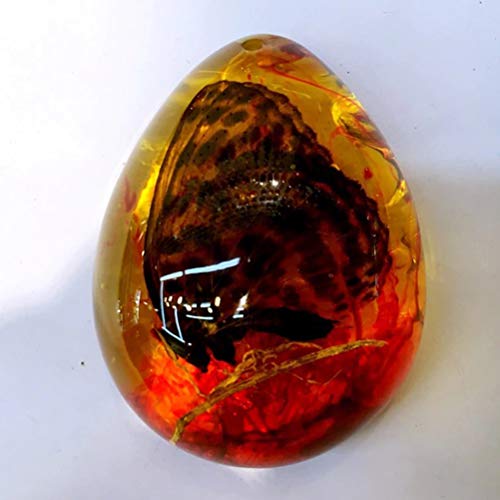 VORCOOL Amber Fossil with Insects Samples Stones Crystal Specimens Home Decorations Collection Oval Pendant for Kids (Random Pattern,8 x 6 x 1.8cm,1pc)
