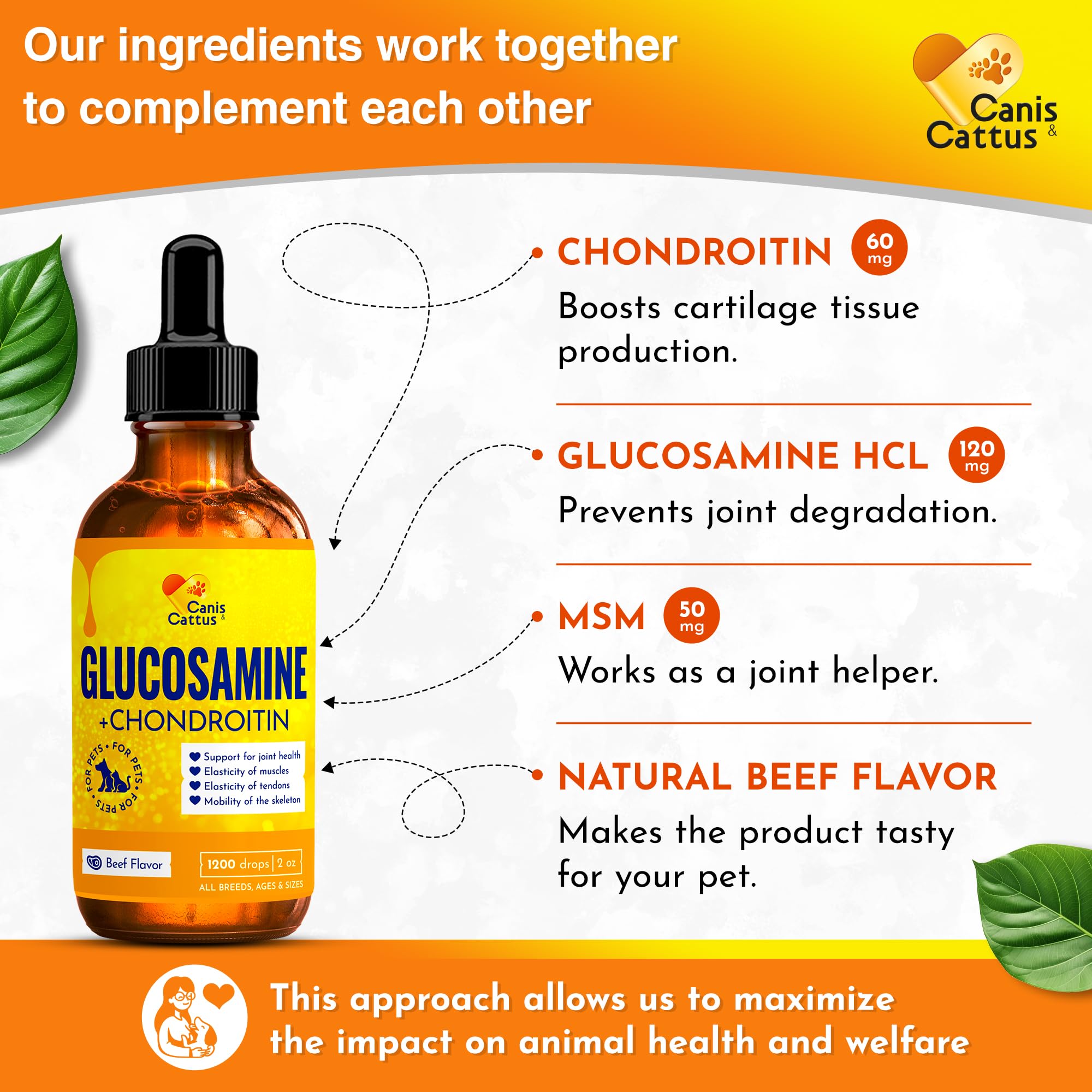 Liquid Glucosamine for Dogs & Cats 3 Pack x 2 Oz | Hip and Joint Supplement for Dogs in a Liquid Form | Cat Joint Supplement and Dog Joint Liquid Supplement | Convenient Pack of 3 Items 2 Oz Each