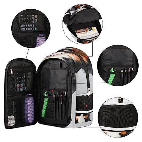 Bernese Mountain Dog Kids Backpack for Boys Girls Teens, 16 Inch School Backpack Schoolbag Travel Laptop Backpack Elementary Primary Students Bookbag