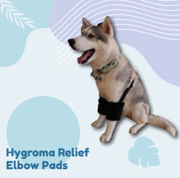Miller Eclipse Dog Reinforced Elbow Pads Elastic Hygroma Relief Pressure Sore Cushions Flexible Straps Medium Dog Large Dog Soft Stretchy Material