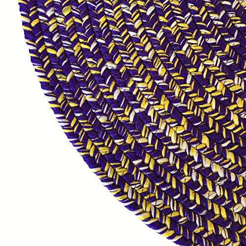 Capel Rugs 0301VS04000600445 Team Spirit Area Rug, 4' x 6', Purple Gold