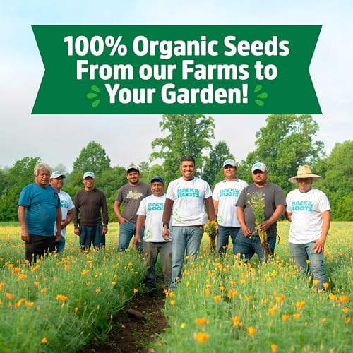 Back to the Roots Organic Seed Bundle - Herbs and Vegetables Variety Pack for Planting - Assorted Non-GMO Seed Mix for Beginner Indoor and Outdoor Gardening, (Pack of 20)