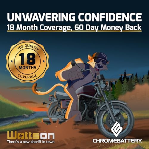 Chrome Battery 12V 15AH SLA Rechargeable Replacement Battery compatible with UPS Back Up, Electric Scooter, Wheelchair, Alarm, and More: 5.94 x 3.86 x 3.74, T2 Terminal