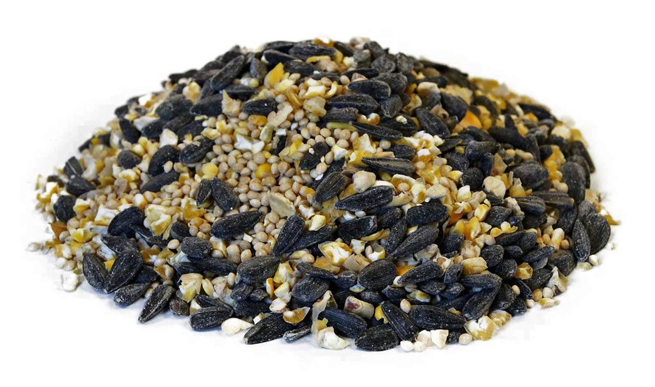 Backyard Seeds Songbird Blend Bird Seed Great Variety (50 Pounds)