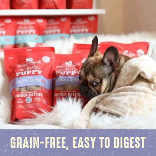Stella & Chewy’s Freeze Dried Raw Dinner Patties – Crafted for Puppies – Grain Free, Protein Rich Perfectly Puppy Chicken & Salmon Recipe – 14 oz Bag