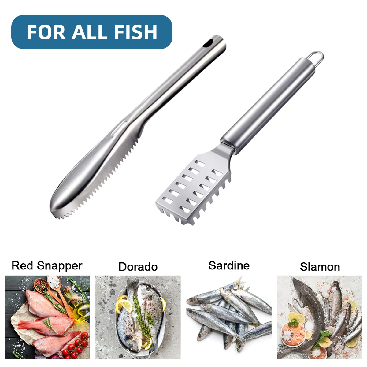 Fish Scaler Stainless Steel Fish Scaler Remover No Mess Easily Remove Fish Scales,Fish Skin Scraper for Kitchen Fish Cleaning Kit,Fish Descaler Tool Suitable for All Fish,with One Glove⦠(Large)