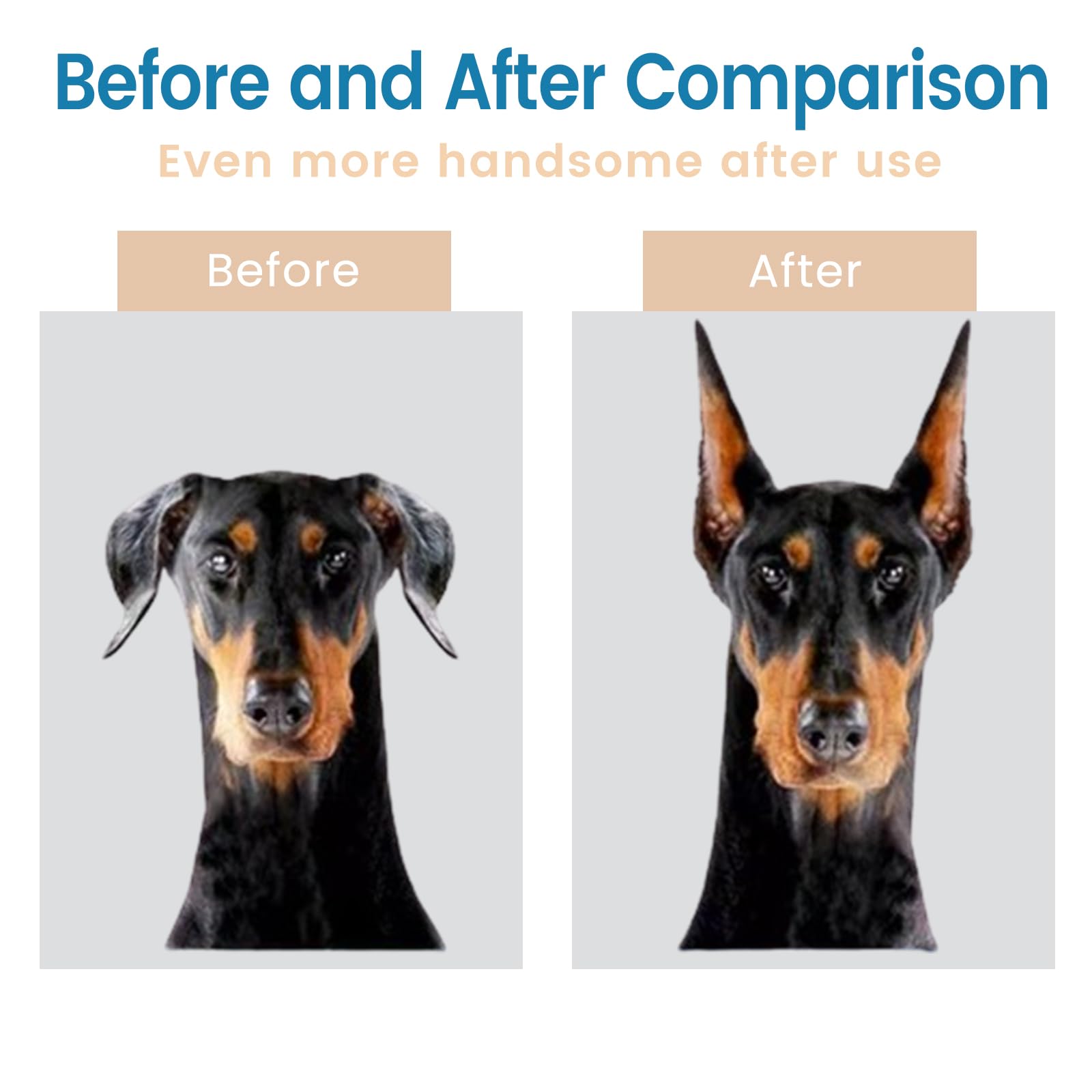 Doberman Ear Posting Kit - Stand Up Support Tool with Tape for Pinscher Dogs' Ears