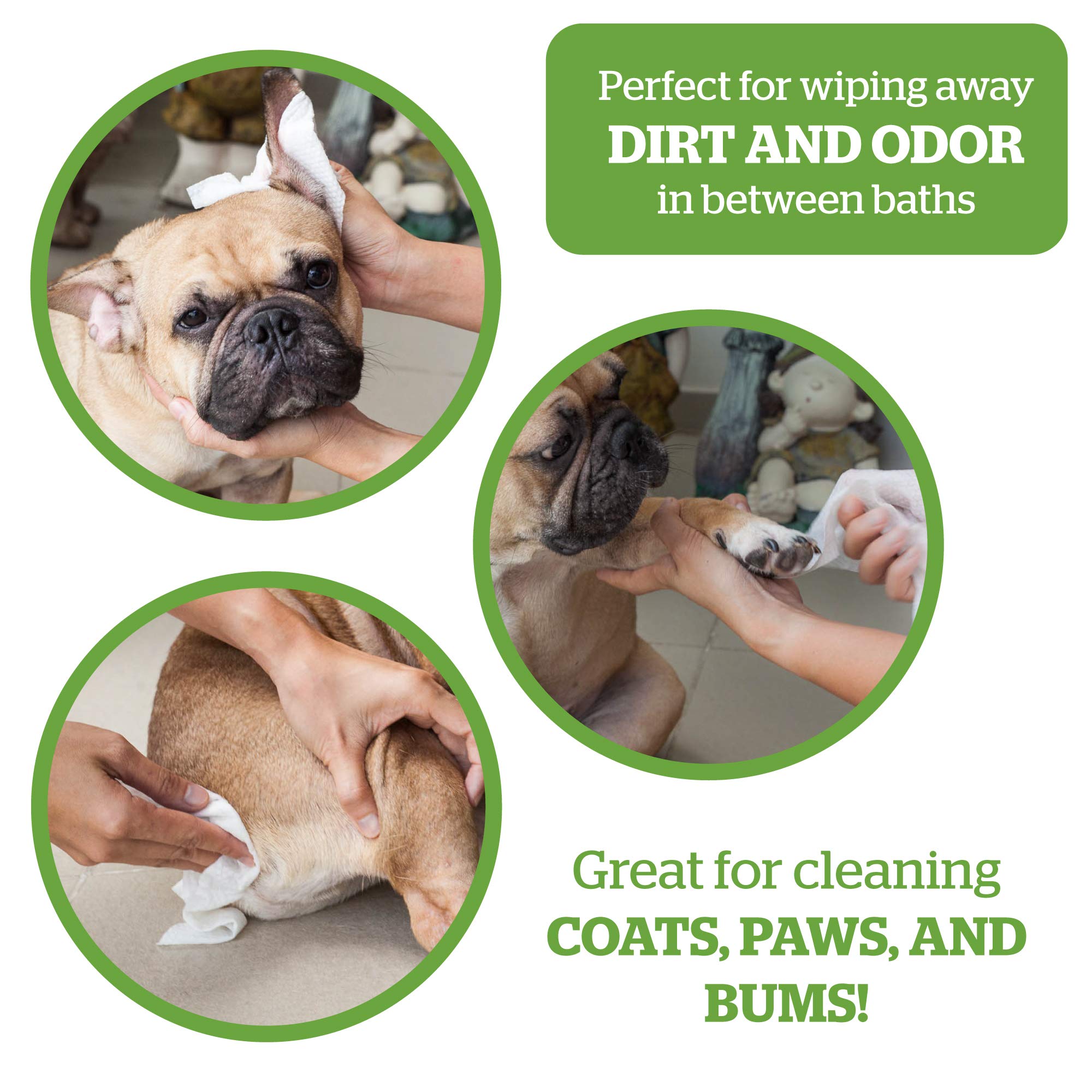 Pogi's Ultimate Dog Wipes Home & Travel Bundle - 400-Count Grooming Wipes for Home and 240-Count Packs for Travel