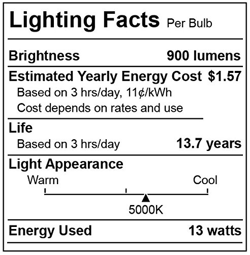 AmeriLuck 5000K Daylight Outdoor PAR38 LED Flood Light Bulb, 90W Equiv. 13W Non-Dimmable (2 Pack) (PAR38 2 Pack, 5000K)