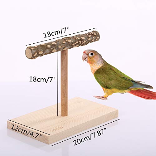 QBLEEV Bird Tabletop Training Stand Perch,Portable Parrot Tee Play Stands, Natural Wood Bird Cage Toys Gym Playground for Small Medium Parakeets Cocktails Conures Lovebirds Finch (Large)