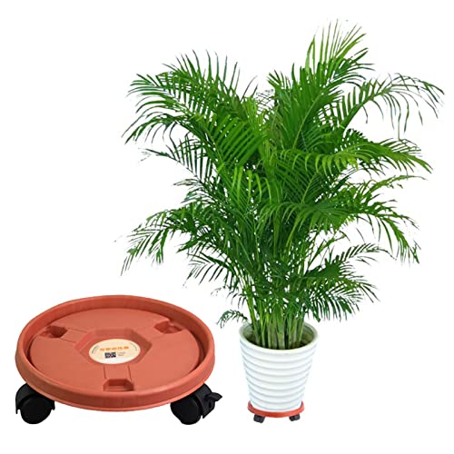 C-LARSS Plant Caddy with Wheels, 8-10 Inch 44lbs Capacity Rolling Plant Stand with Casters, Flexible Pallet Dolly for Plant Pot Vase White