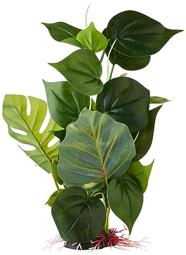Fluval Anubias Plant for Aquarium, 12-Inch