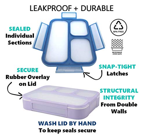 Bento Lunch Box Kids & Adult: Leakproof Lunch Containers for Boys & Girls with 3 Compartments - School, Daycare, Meal Planning Portion Control Container, BPA-Free Boxes, Utensils | Blue Purple 2 pack