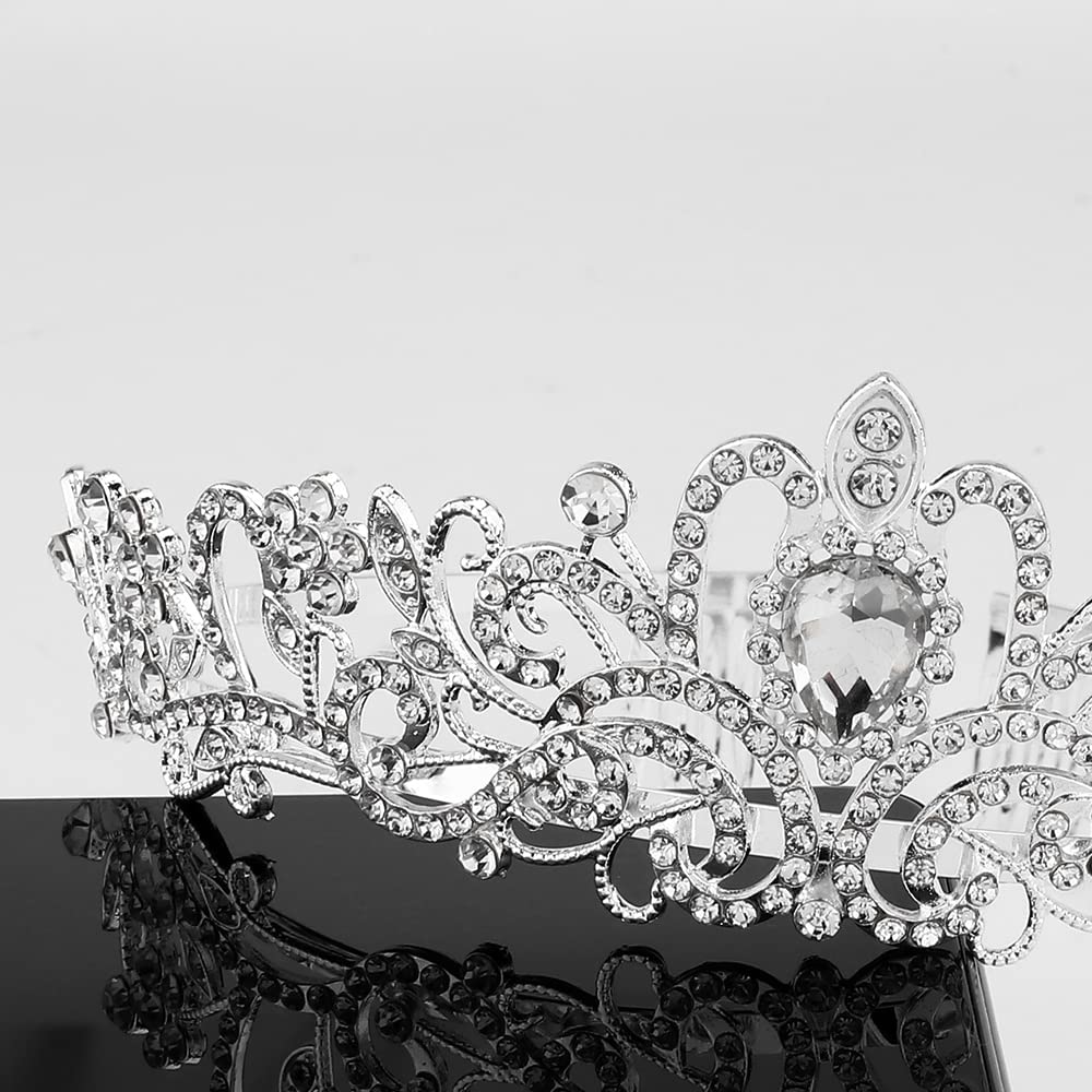 AOPRIE Tiara and Crown for Women Silver Bride Veil Silver Bridal Shower Supplies Bachelorette Party Decorations Gift Sets